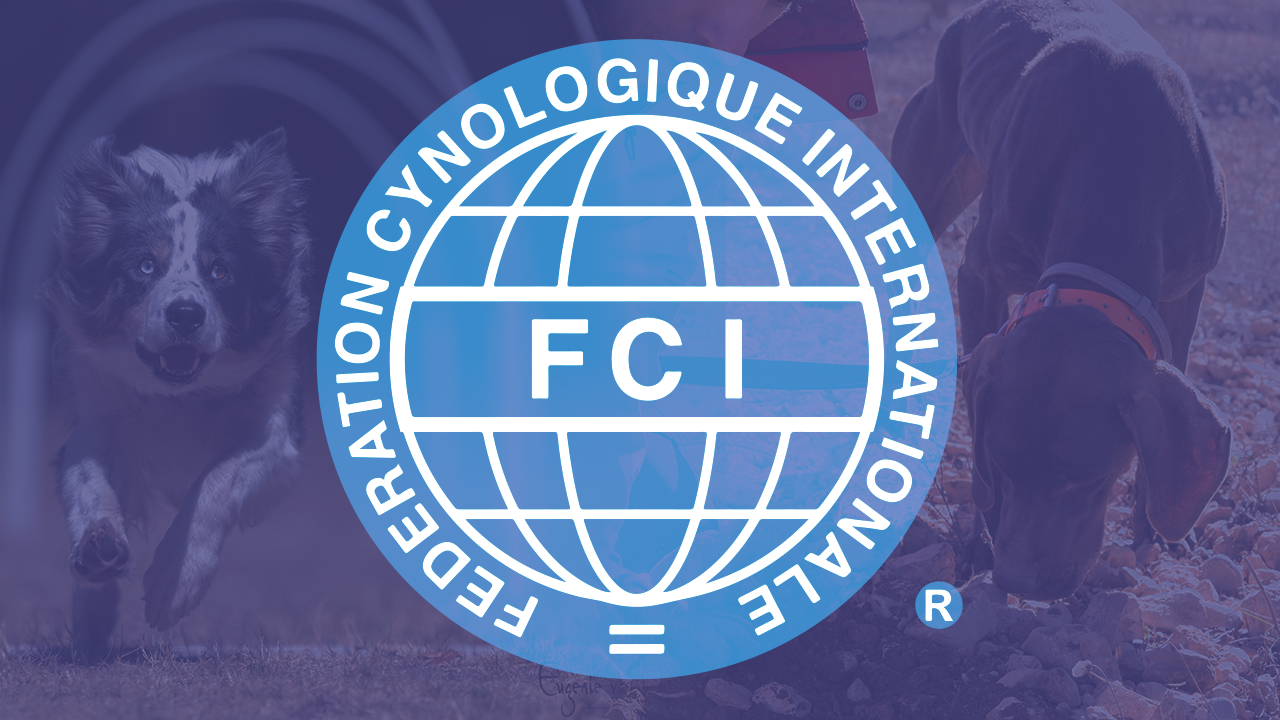 Assemblée générale 2023 de la FCI | Société Centrale Canine